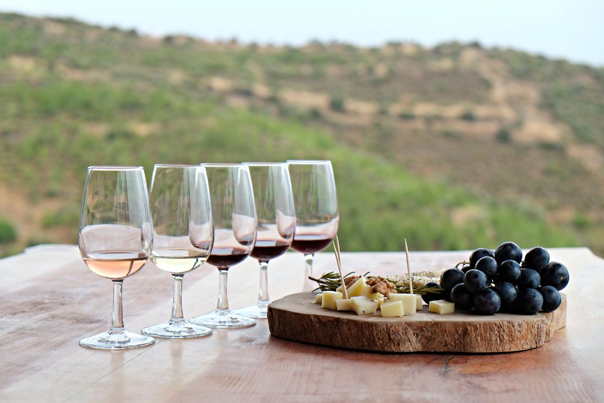 10 Top Wine Regions In The World